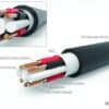 Neotech NES-3005 MKII Speaker Cable - Taste For Audio